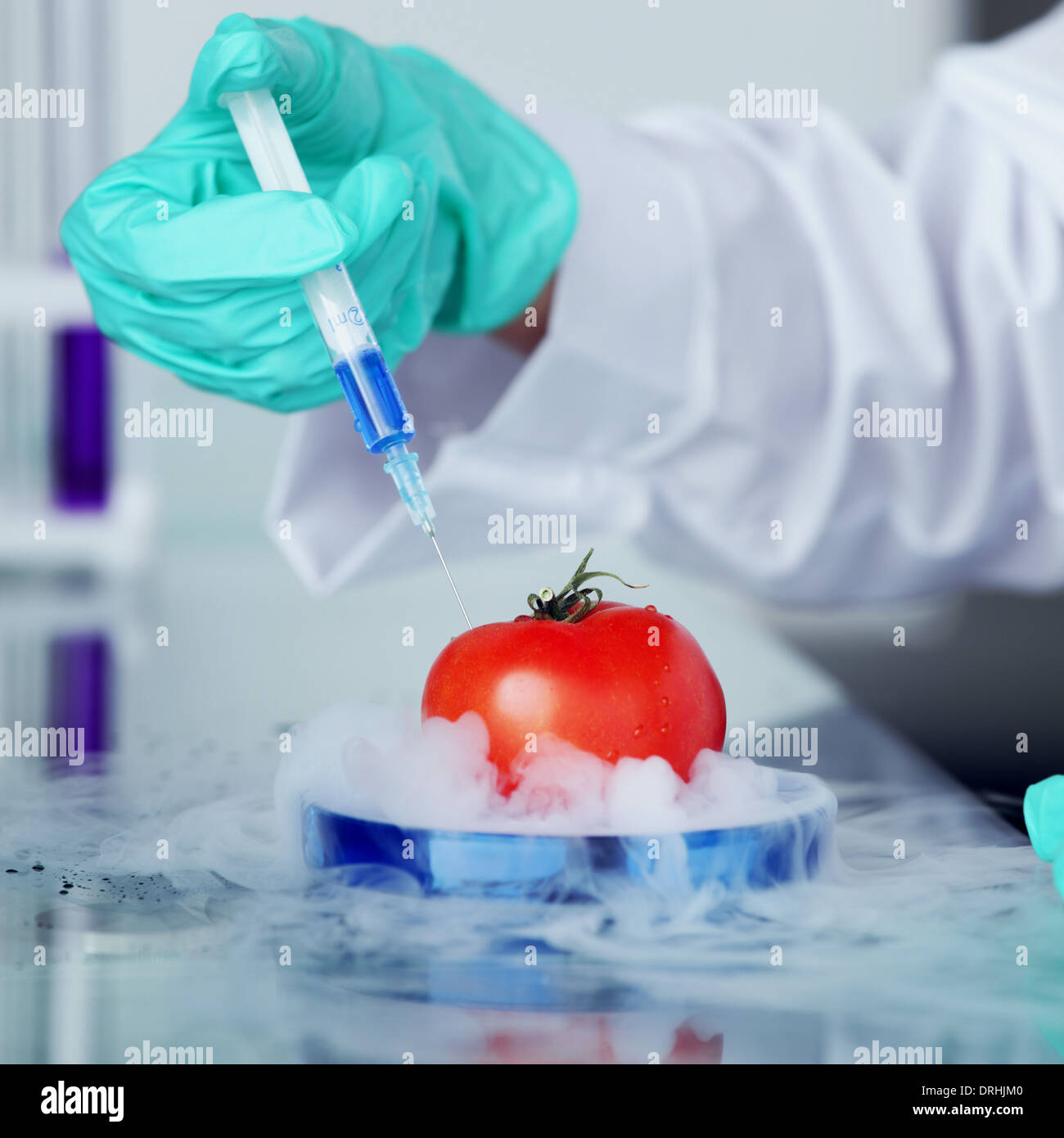 tomato DNA change microbiology experiment Stock Photo - Alamy