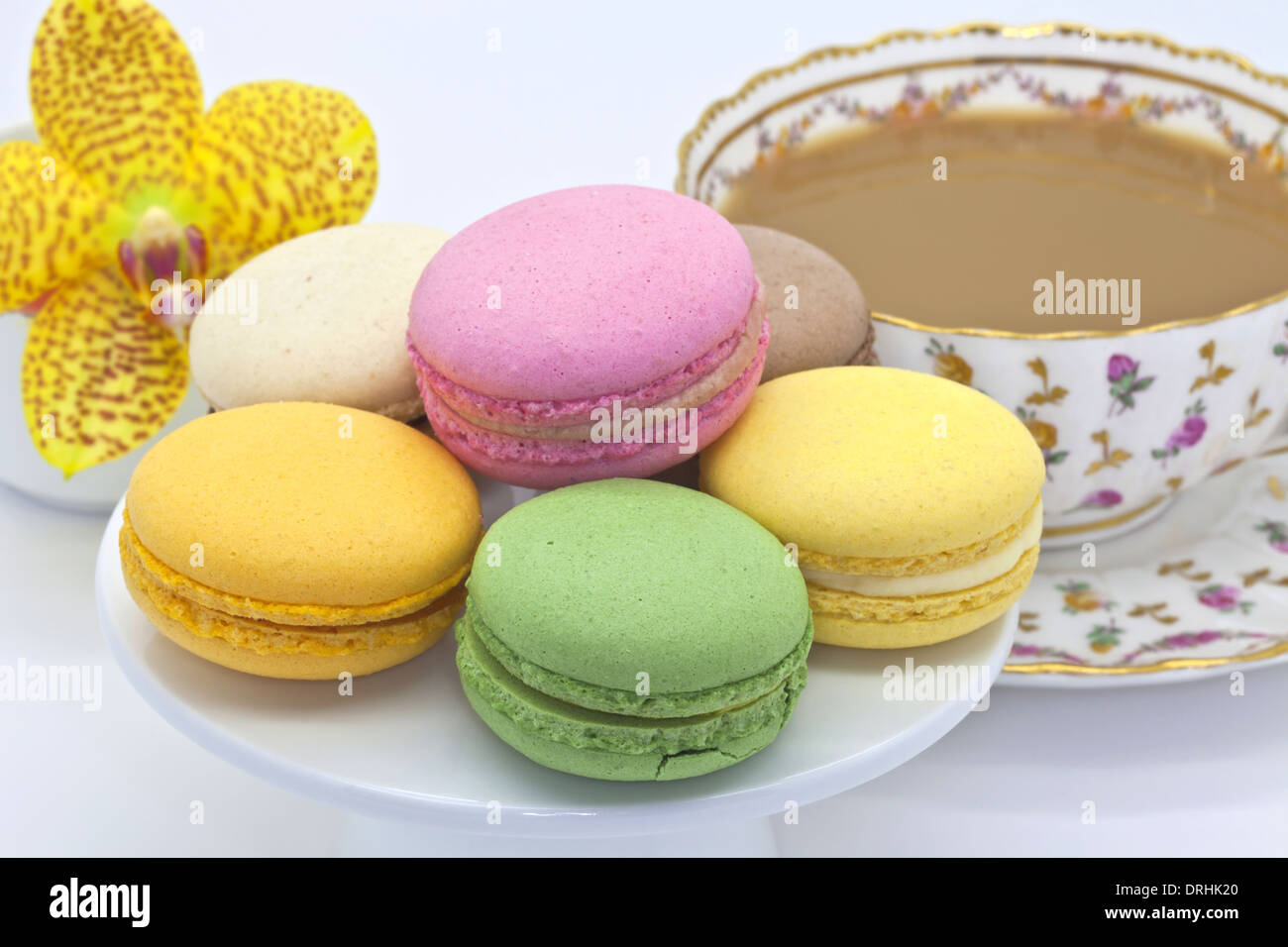 Eating biscuits together hi-res stock photography and images - Alamy