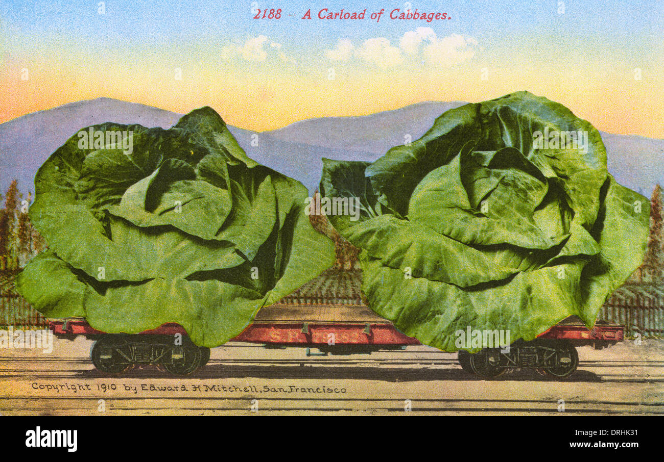 Rail car transporting giant cabbages Stock Photo - Alamy