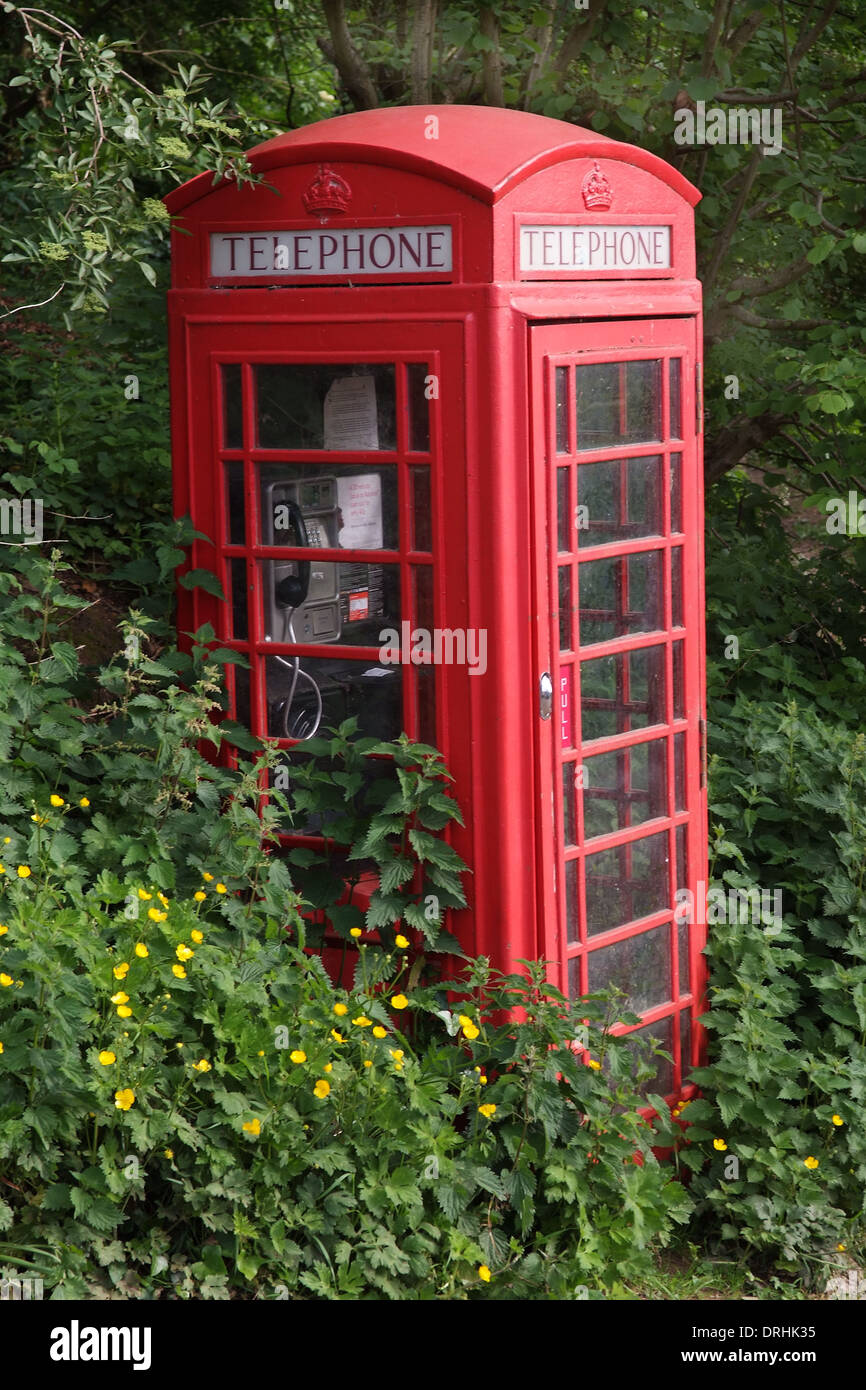 Old red telephone box in Dorset Stock Photo - Alamy