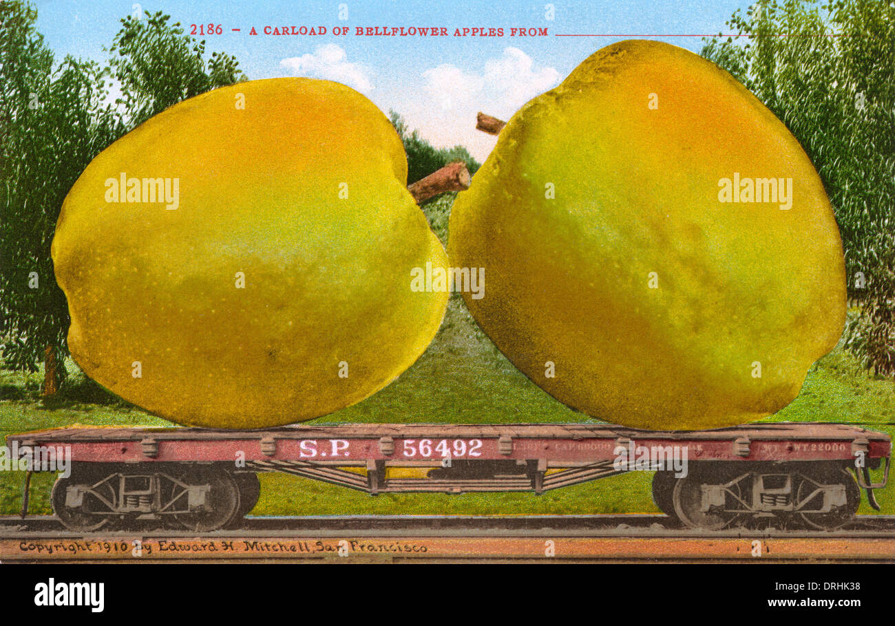 Rail car transporting giant Bellflower apples Stock Photo - Alamy