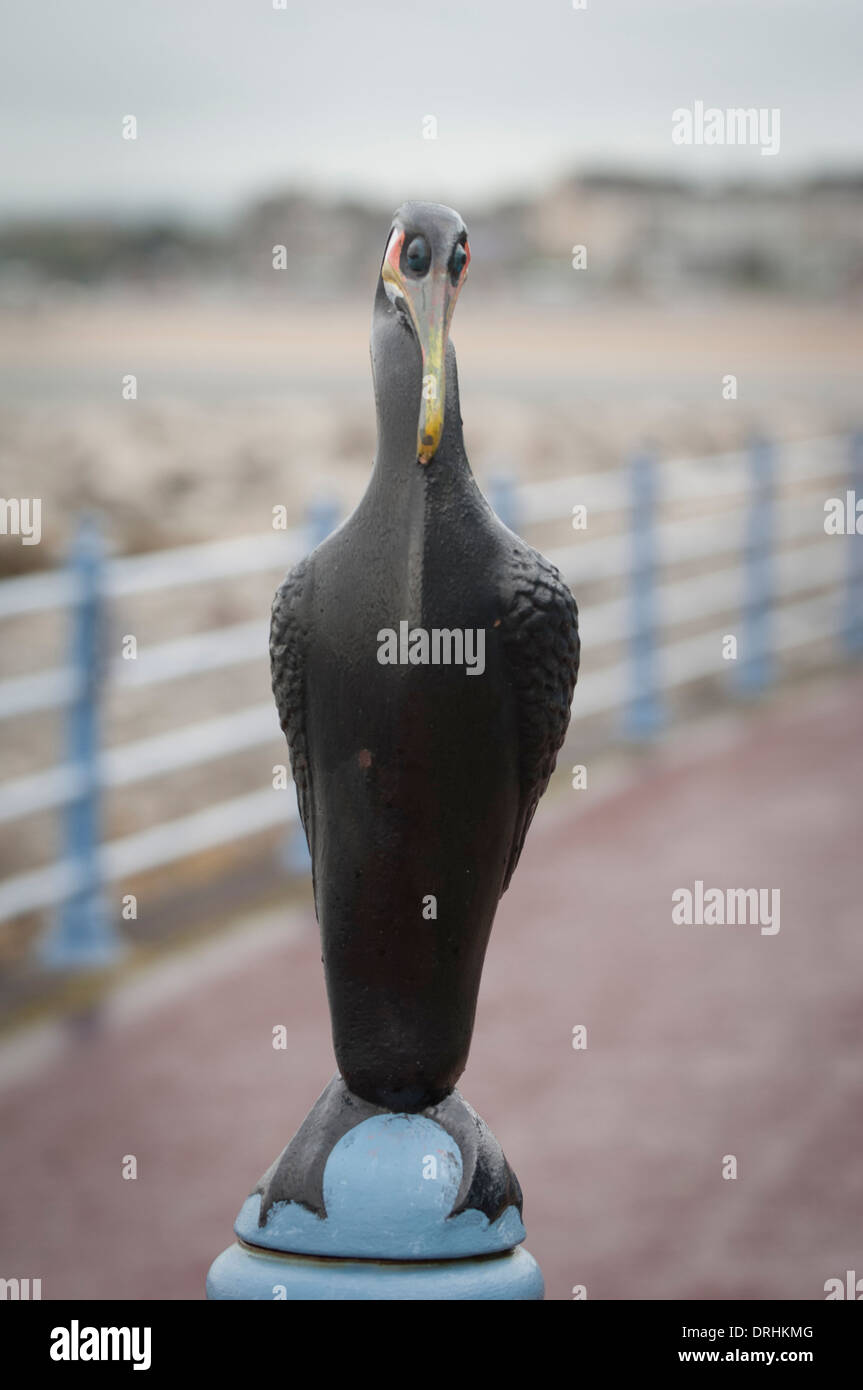 Promenade birds morecambe hi-res stock photography and images - Alamy