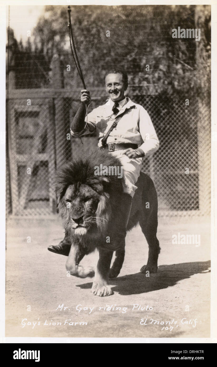 Riding lion hi-res stock photography and images - Alamy