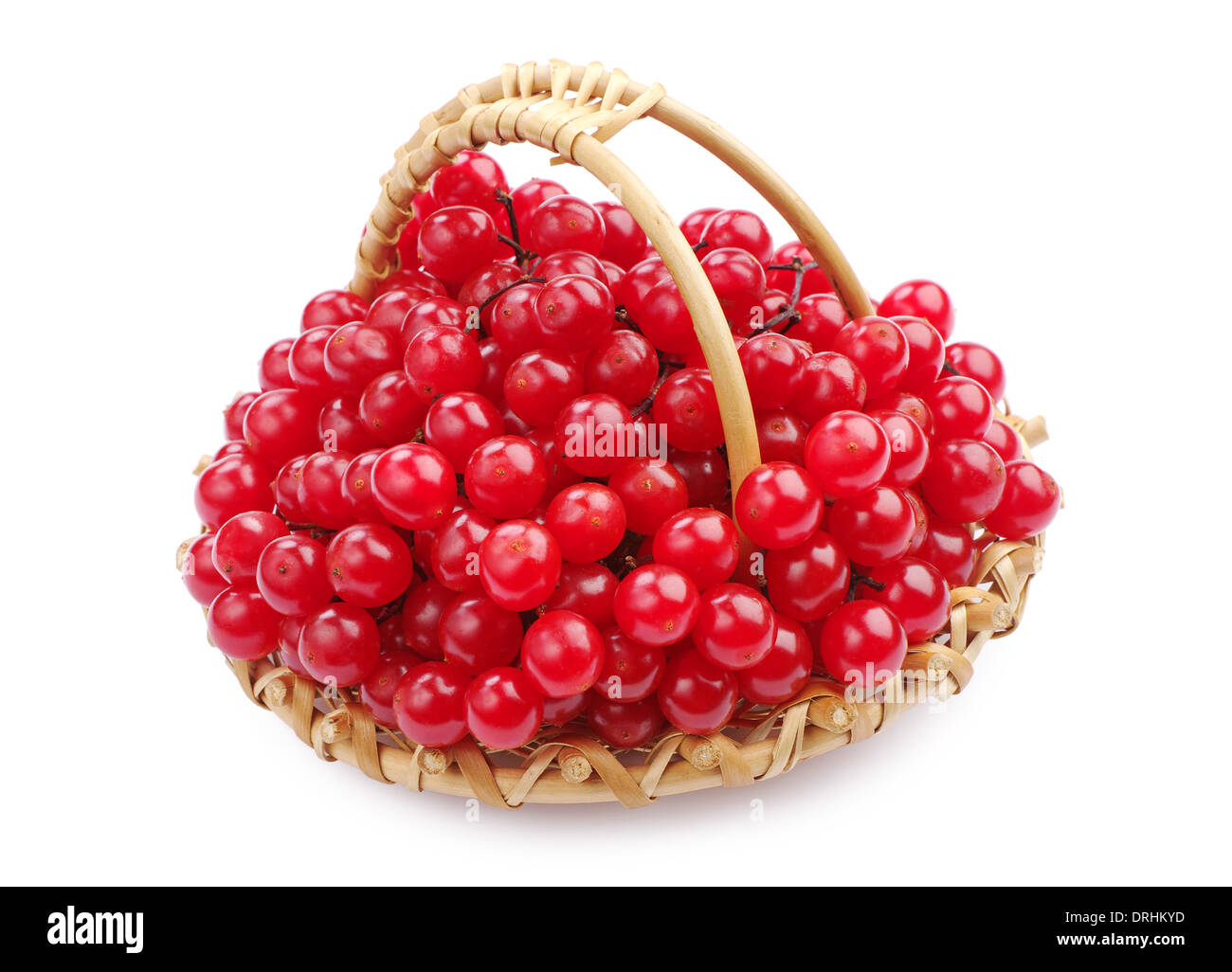 Bitter berry hi-res stock photography and images - Alamy