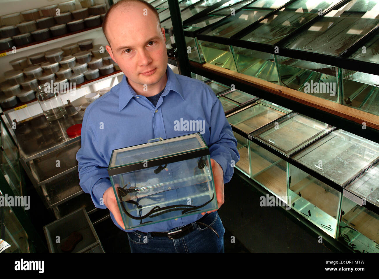 Leeches medicine hi-res stock photography and images - Alamy