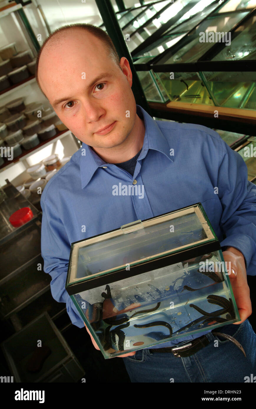 Leeches For Medical High Resolution Stock Photography and Images - Alamy