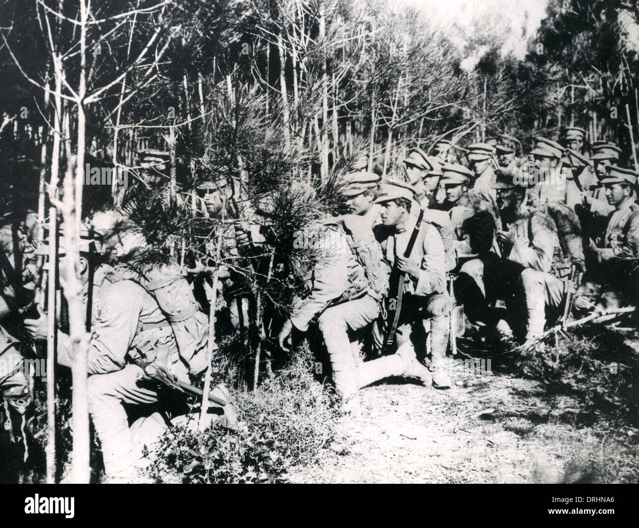 Portuguese soldiers advancing through a wood, WW1 Stock Photo - Alamy