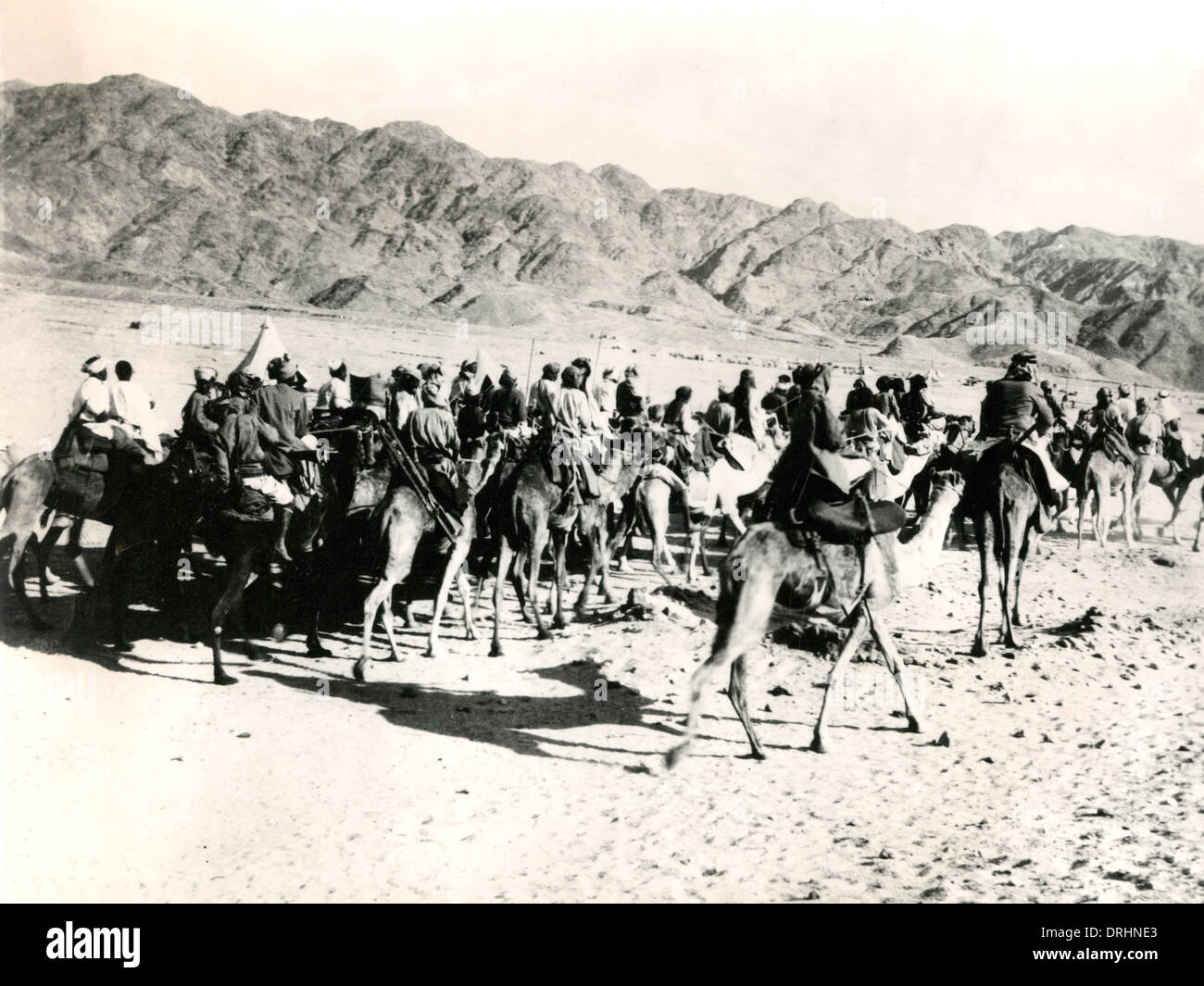 Camels and riders, Mesopotamia, WW1 Stock Photo - Alamy