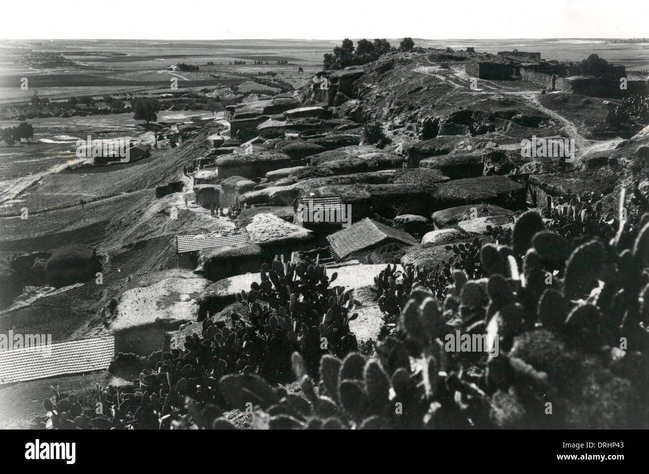 Village on a hill near Gaza, with cacti, WW1 Stock Photo - Alamy