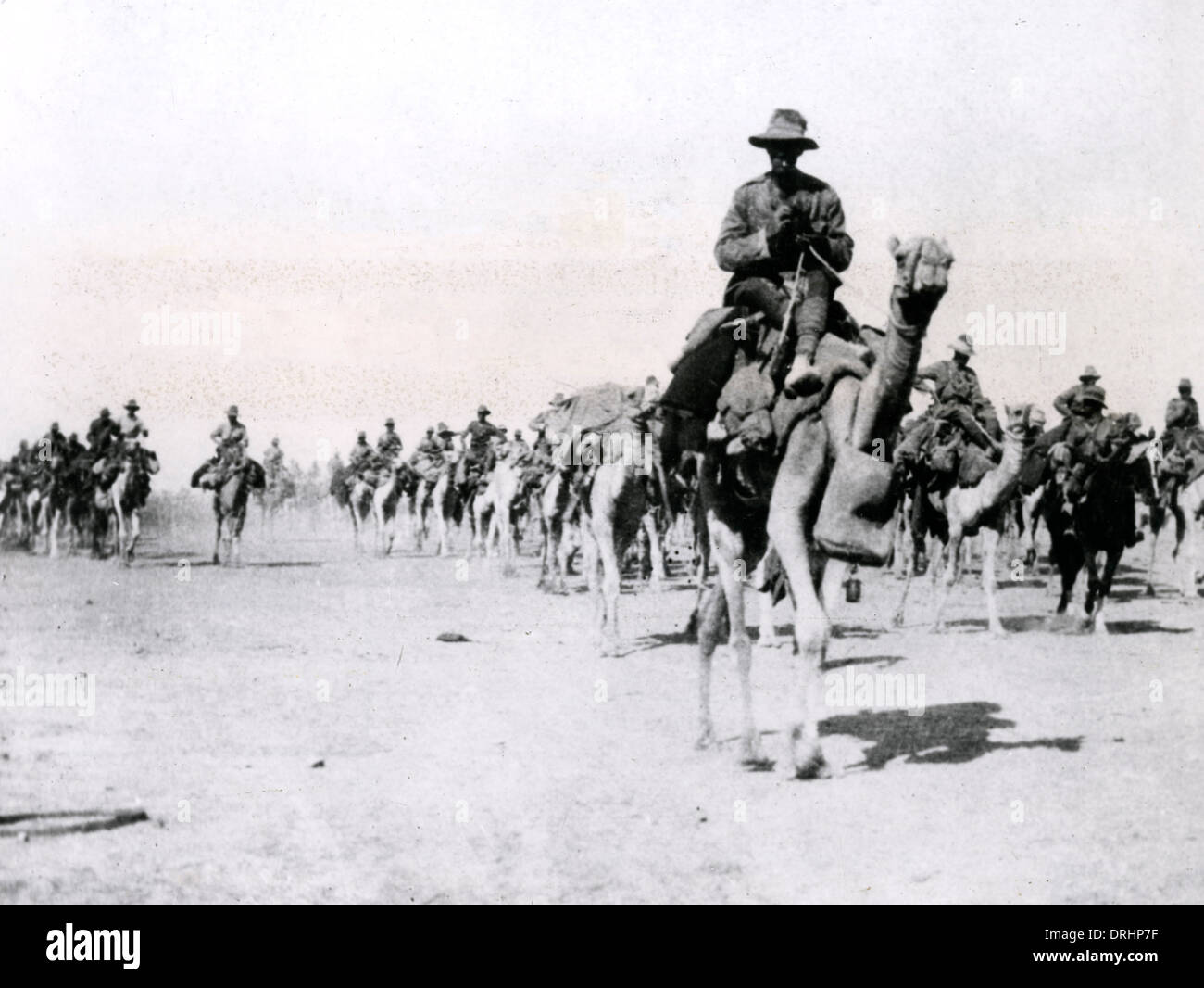 Imperial camel corps hi-res stock photography and images - Alamy