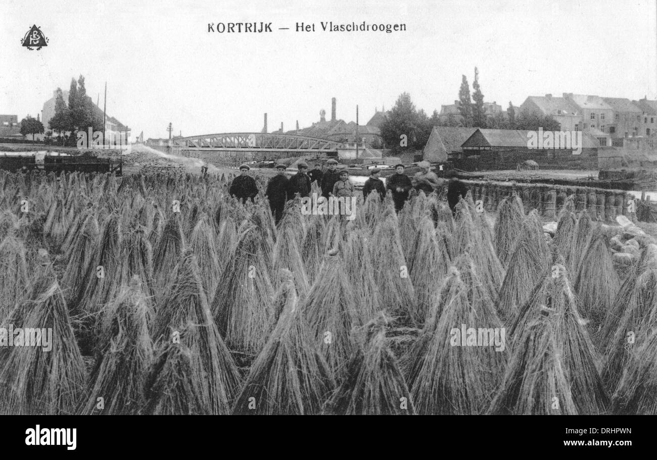 Sheaves of corn hi-res stock photography and images - Alamy