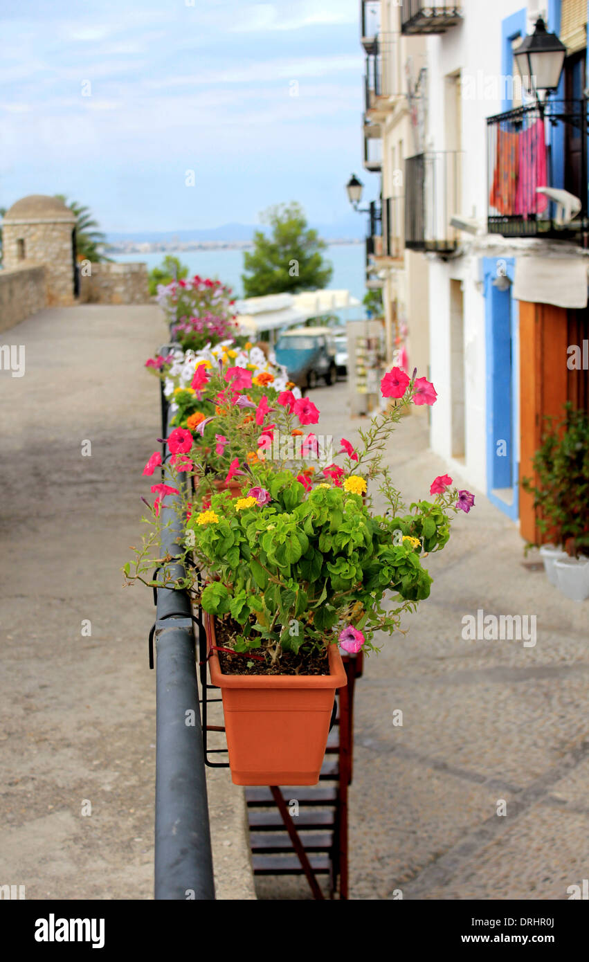 Village streets with colorful flowers and the sea Stock Photo - Alamy