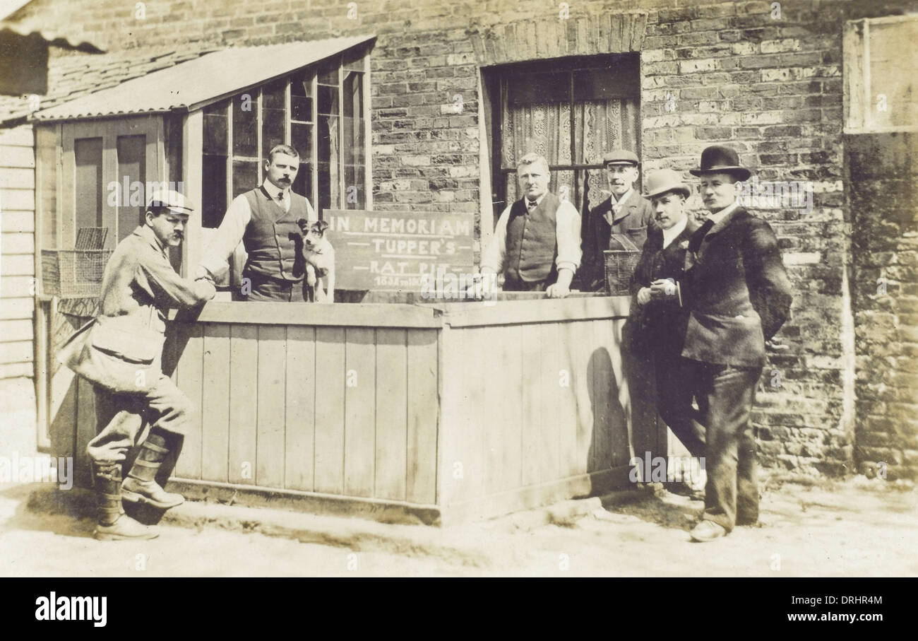 Swan inn hi-res stock photography and images - Alamy