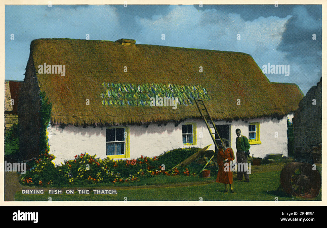 Drying fish on the thatch roof, Southern Ireland Stock Photo - Alamy