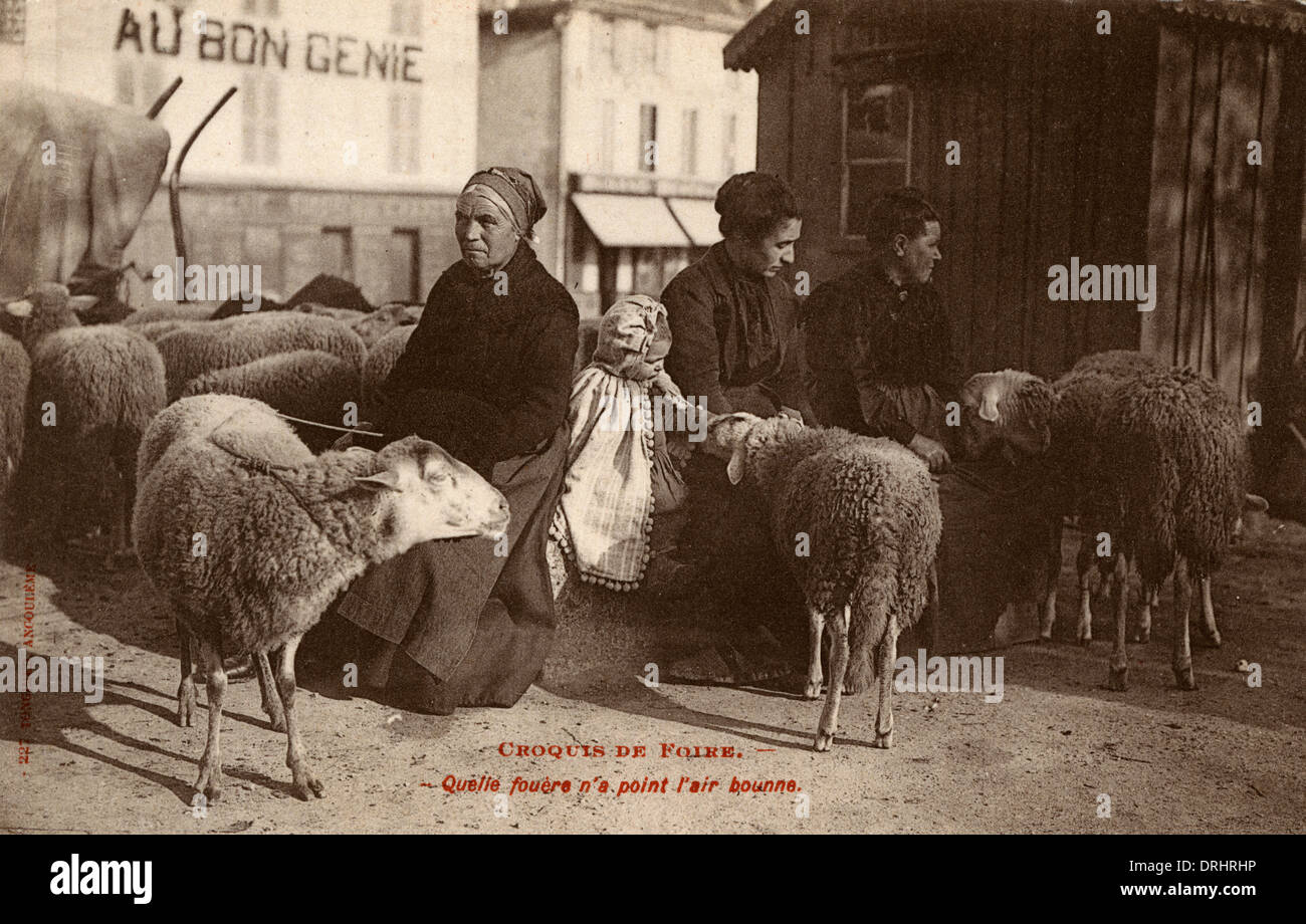 French Sheperdesses and their Sheep Stock Photo - Alamy