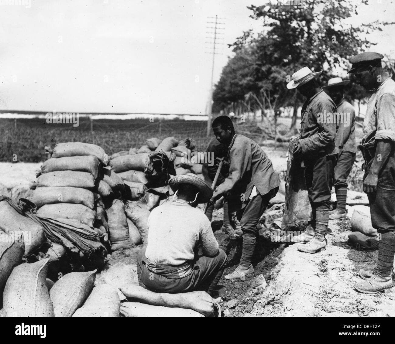 Chinese labourers filling sandbags near Arras, France, WW1 Stock Photo ...