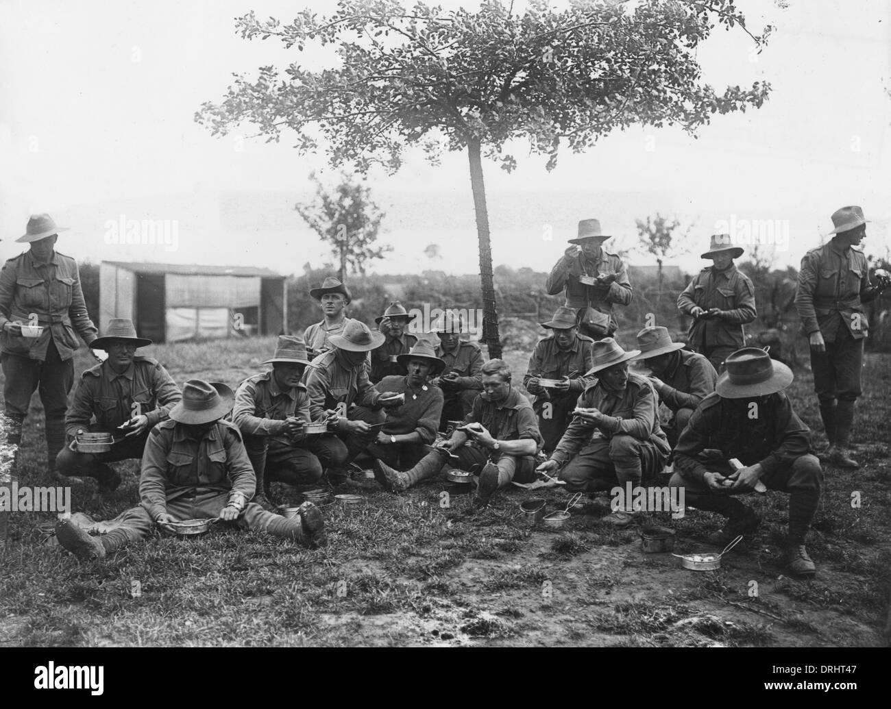 May 1916 world war one history historical archive archival hi-res stock ...