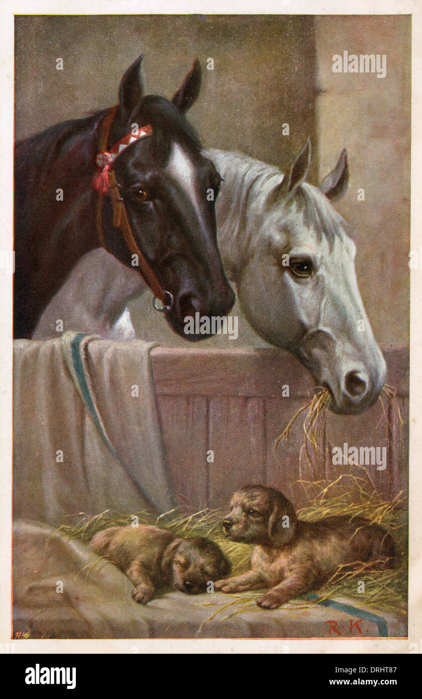 Two Horses in the stable with puppies Stock Photo - Alamy