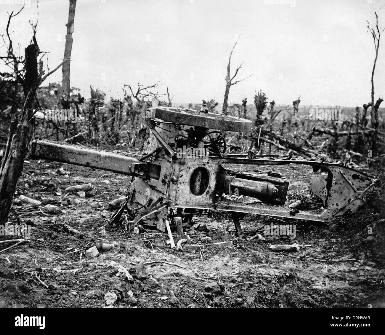 Scene of desolation on the Somme, Western Front, WW1 Stock Photo - Alamy