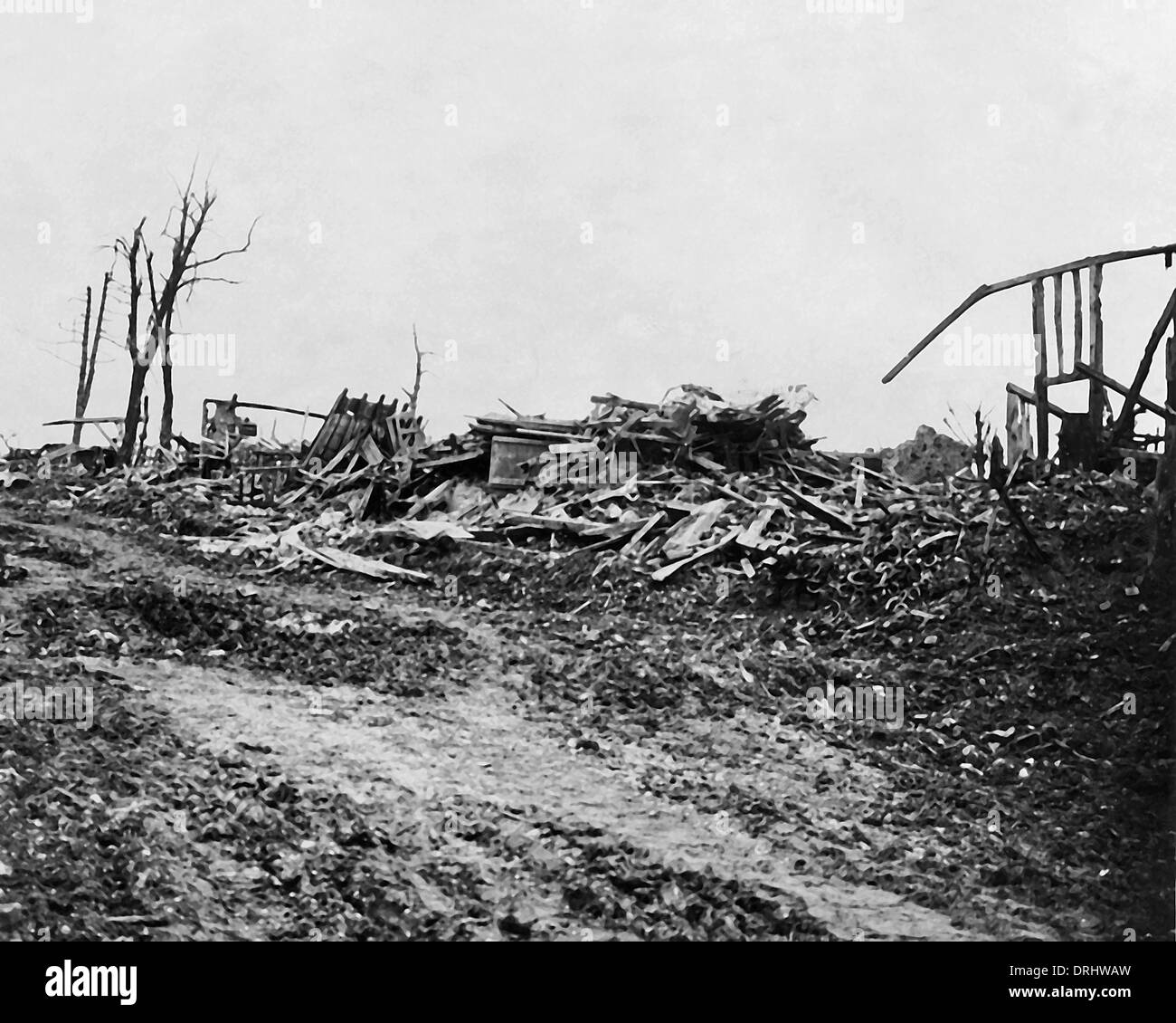 Desolation | atelier-yuwa.ciao.jp