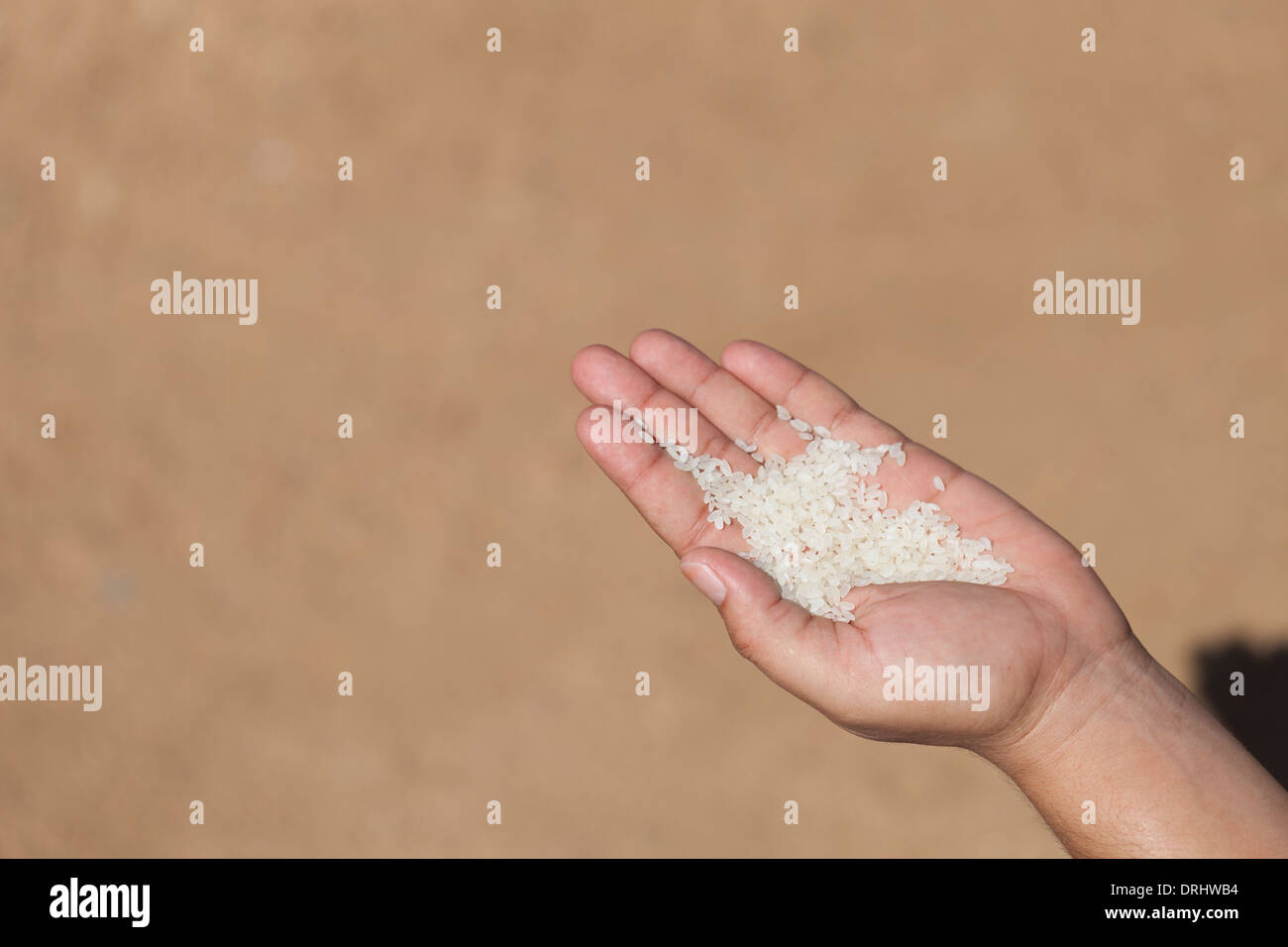 Hand with rice Stock Photo - Alamy