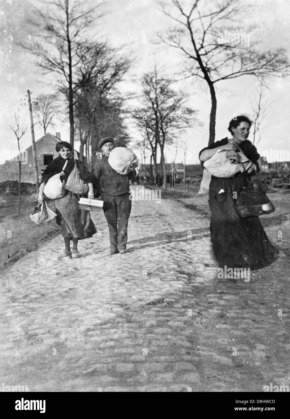 Civilians fleeing their village, Oostvleteren, Belgium, WW1 Stock Photo ...