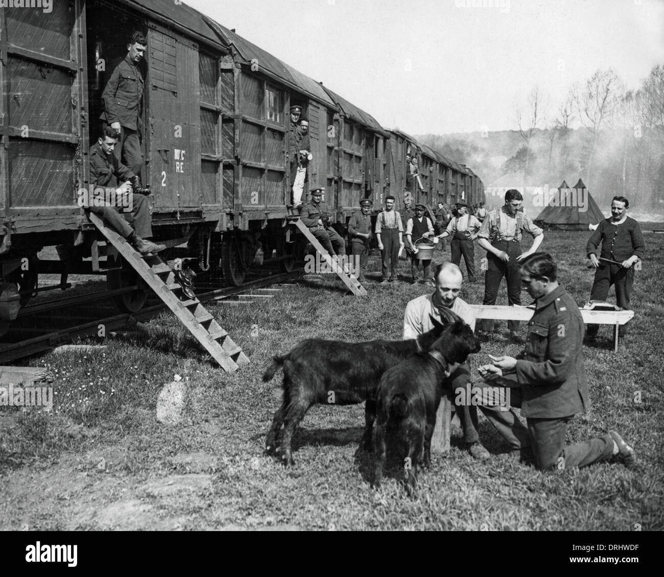 Railway construction, Western Front, France, WW1 Stock Photo - Alamy