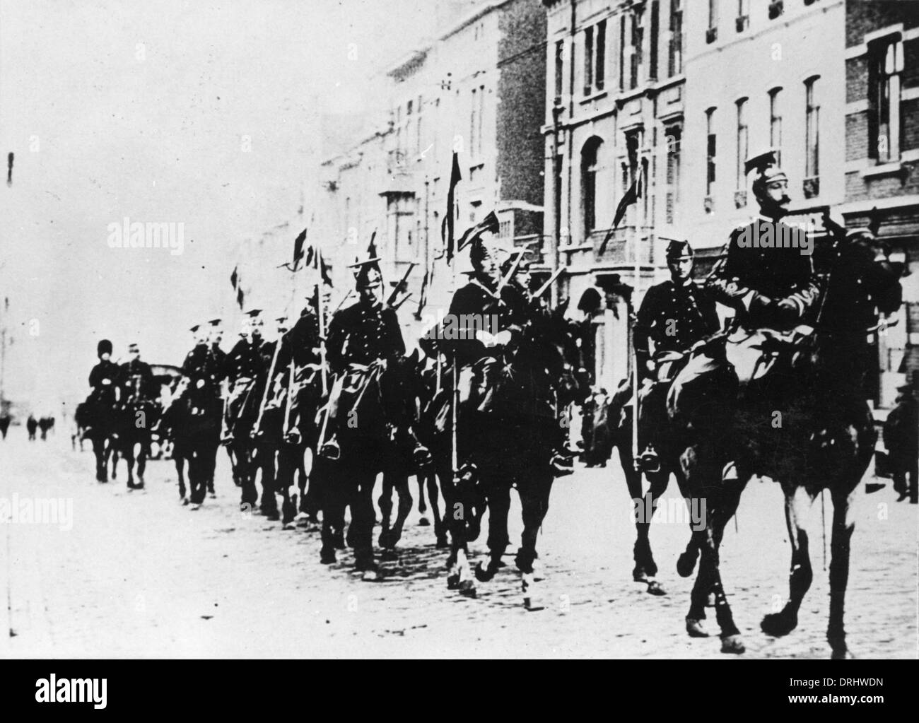 Belgian cavalry hi-res stock photography and images - Alamy