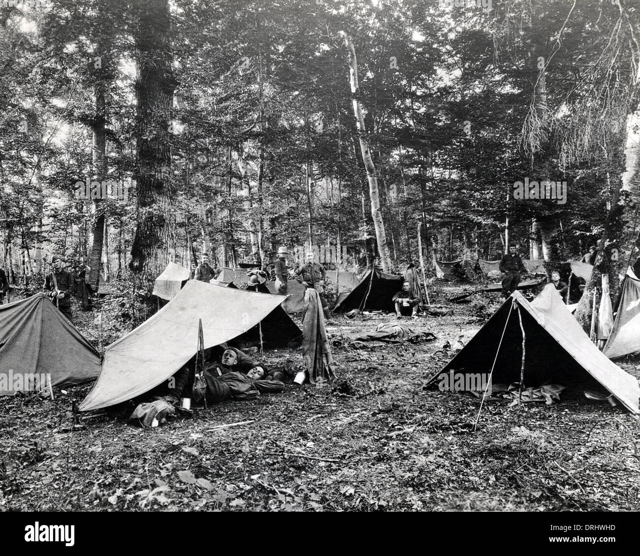 American troops camping in a wood, Western Front, WW1 Stock Photo - Alamy
