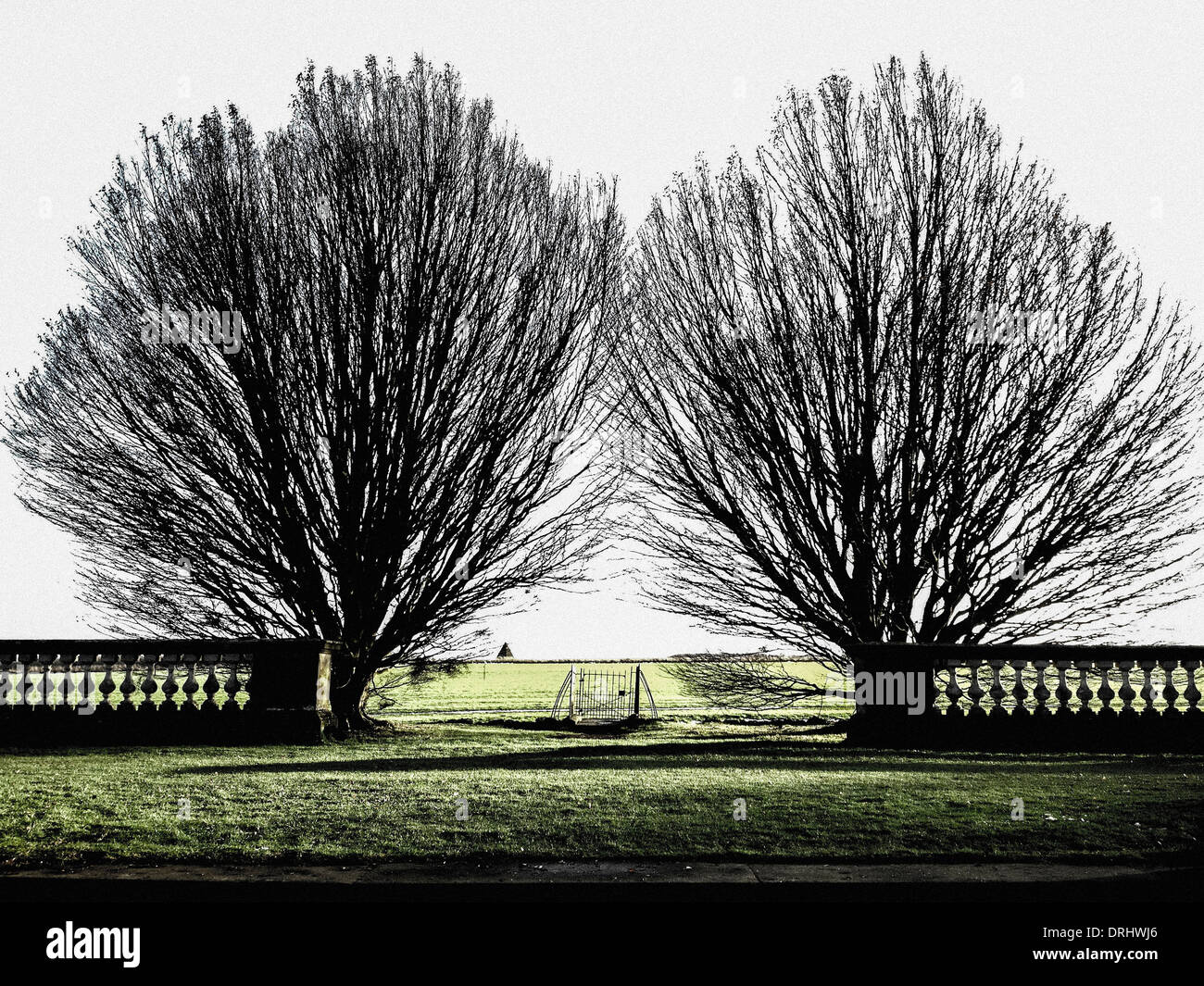 Trees with a small metal gate at Castle Howard looking south towards ...