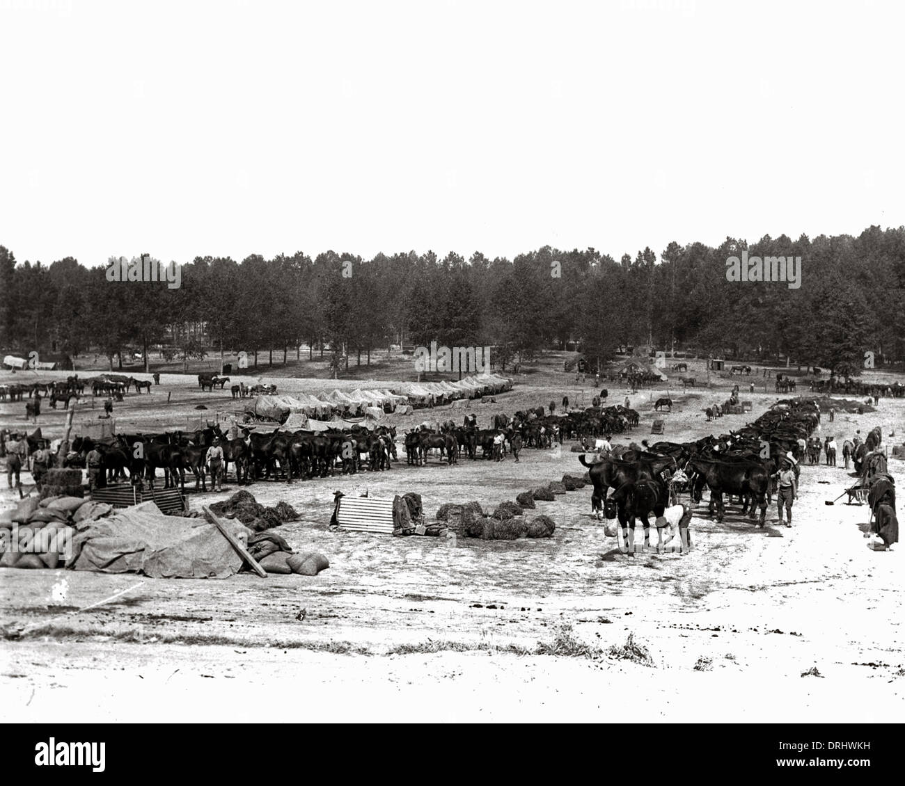 British cavalry camp hi-res stock photography and images - Alamy