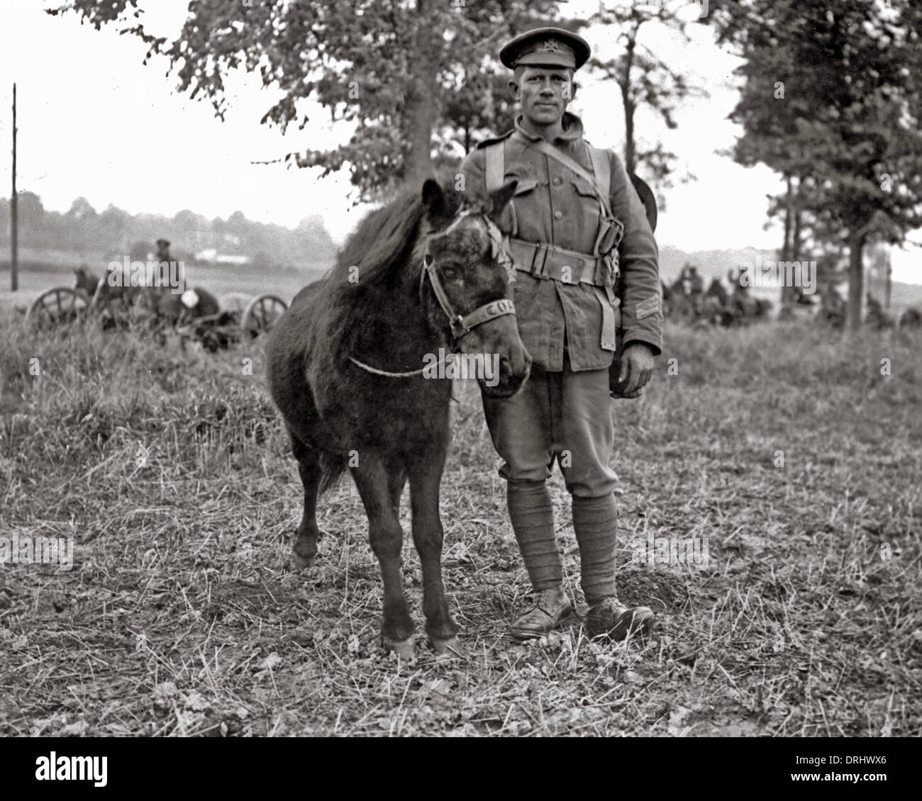 King royal rifles hi-res stock photography and images - Alamy