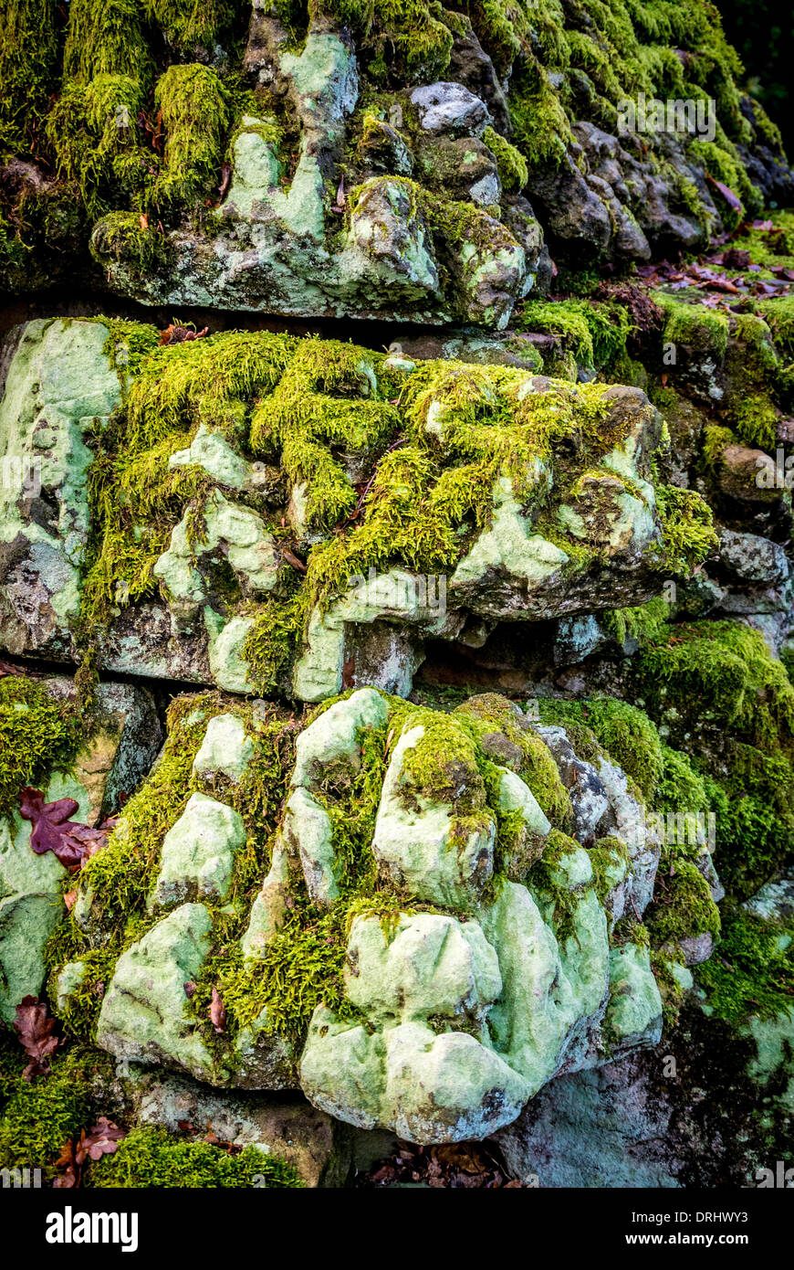 Moss covered Aztec Pyramid in the woods at Castle Howard, North ...