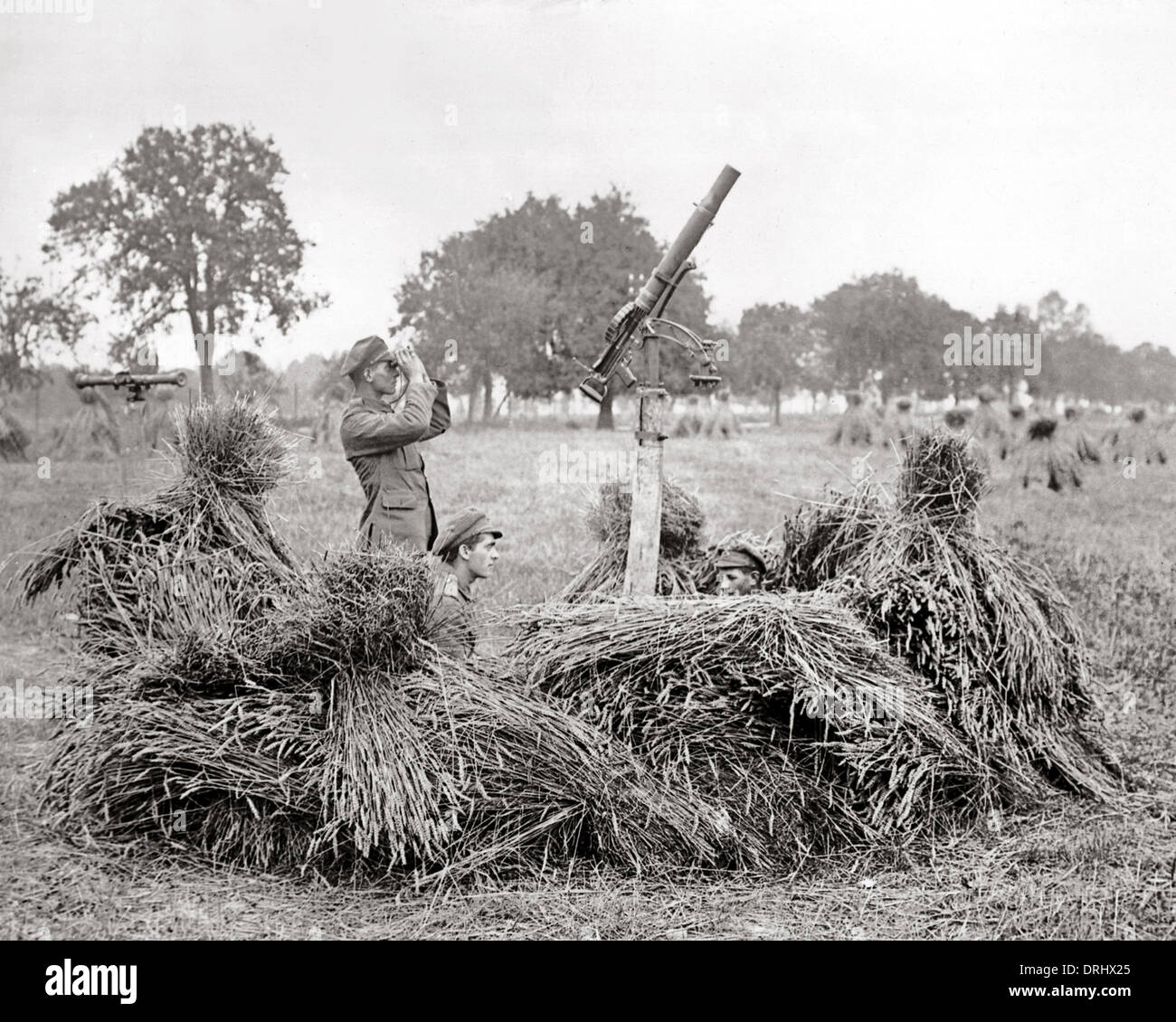 Anti aircraft gun in great war hi-res stock photography and images - Alamy
