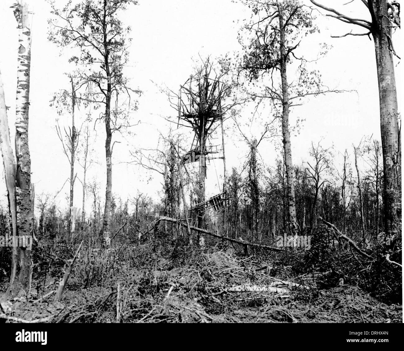German lookout post, Mametz Wood, Western Front, WW1 Stock Photo - Alamy