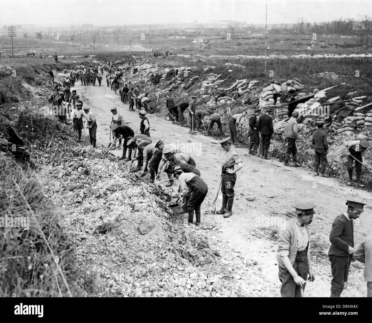 British working party building road, Western Front, WW1 Stock Photo - Alamy