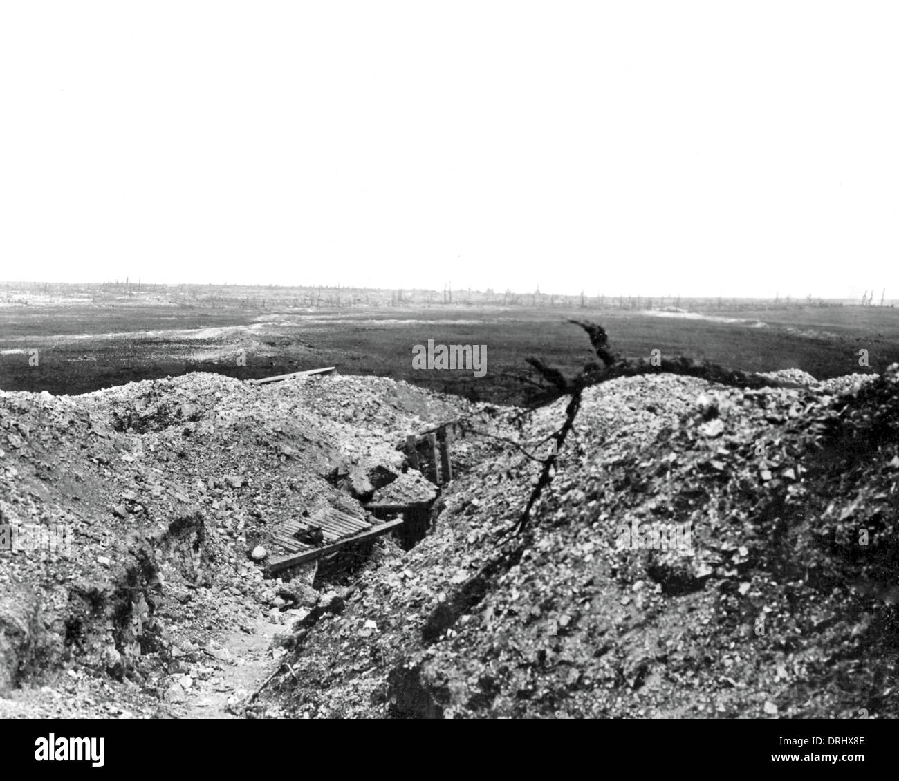 Old German trench near Pozieres, Western Front, WW1 Stock Photo - Alamy