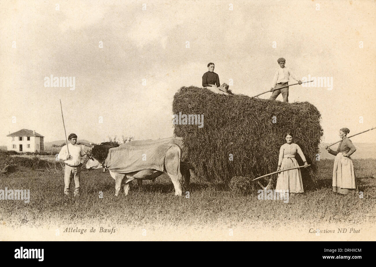 Hay cart hi-res stock photography and images - Alamy