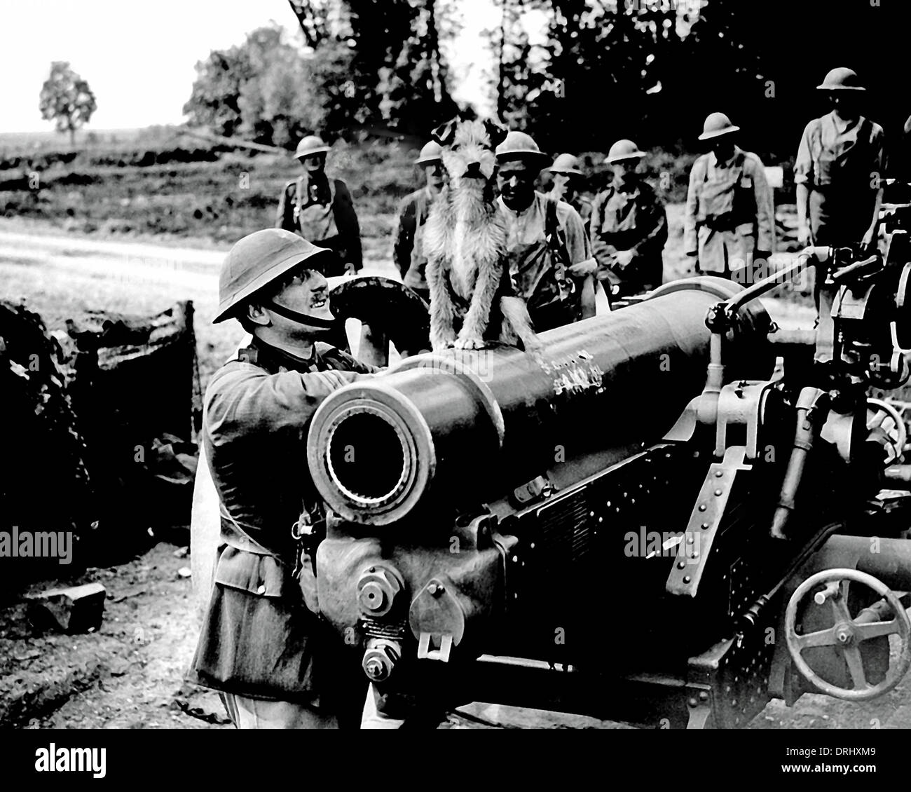 Army Dog British High Resolution Stock Photography and Images - Alamy