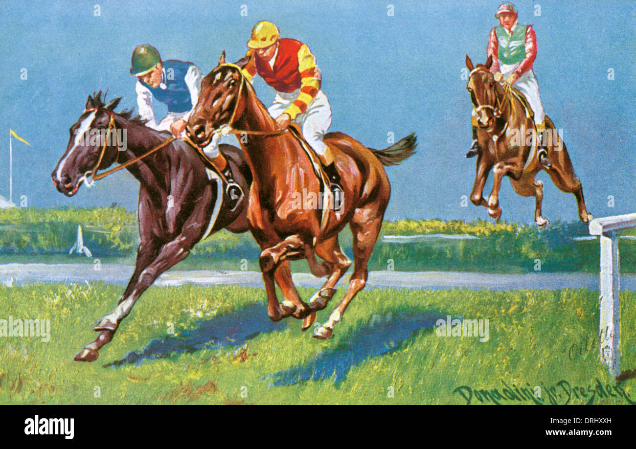 Horse Racing - Neck and Neck Stock Photo - Alamy