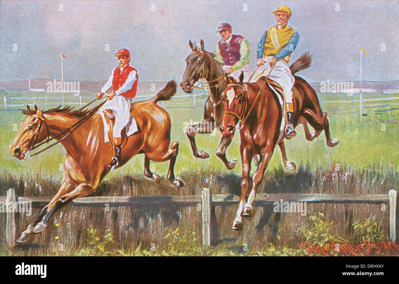 Horse jumping hedge hi-res stock photography and images - Alamy