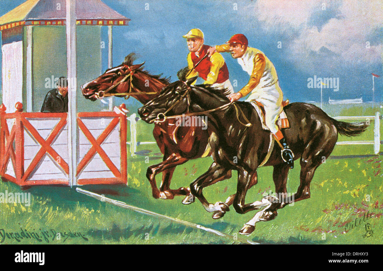 Horse Racing - Won by a Short Head Stock Photo - Alamy