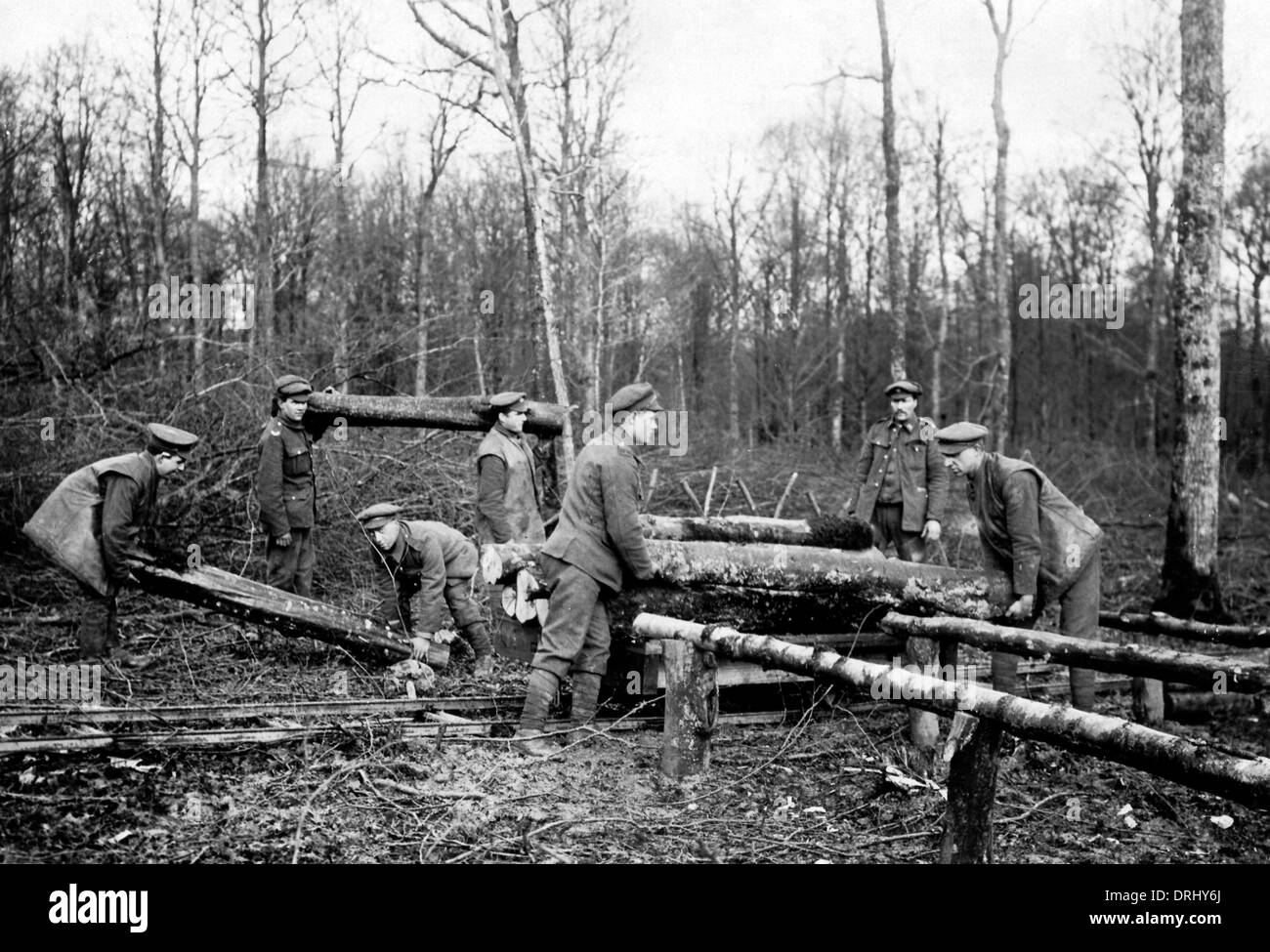 Ww1 army timber hi-res stock photography and images - Alamy