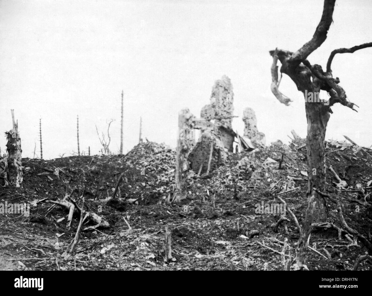 Devastation at Gommecourt, France, WW1 Stock Photo - Alamy