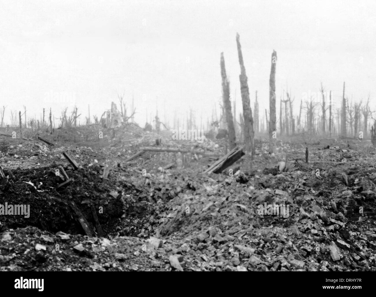 Shell-shattered trees at Gommecourt, France, WW1 Stock Photo - Alamy