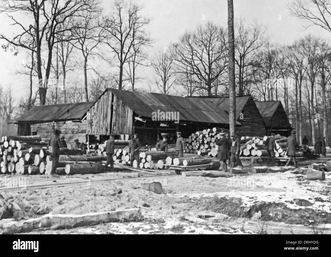 Forest lumber works, Western Front, France, WW1 Stock Photo - Alamy