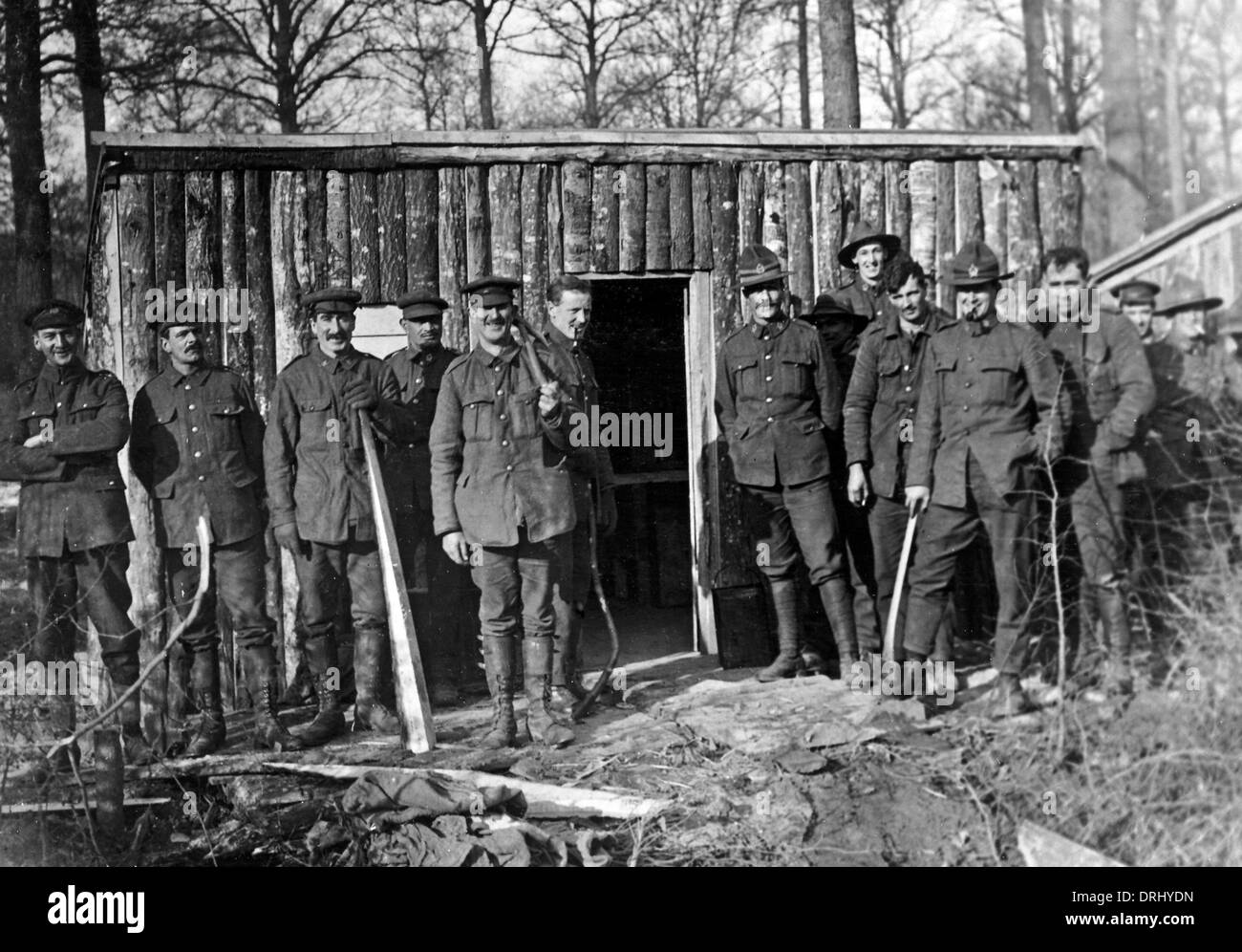 Soldiers at forest lumber works, Western Front, WW1 Stock Photo - Alamy