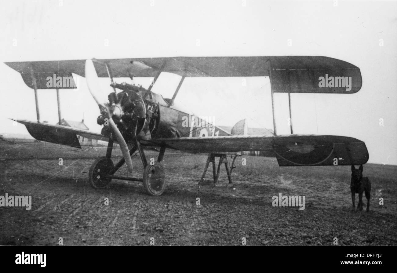 Sopwith camel hi-res stock photography and images - Alamy