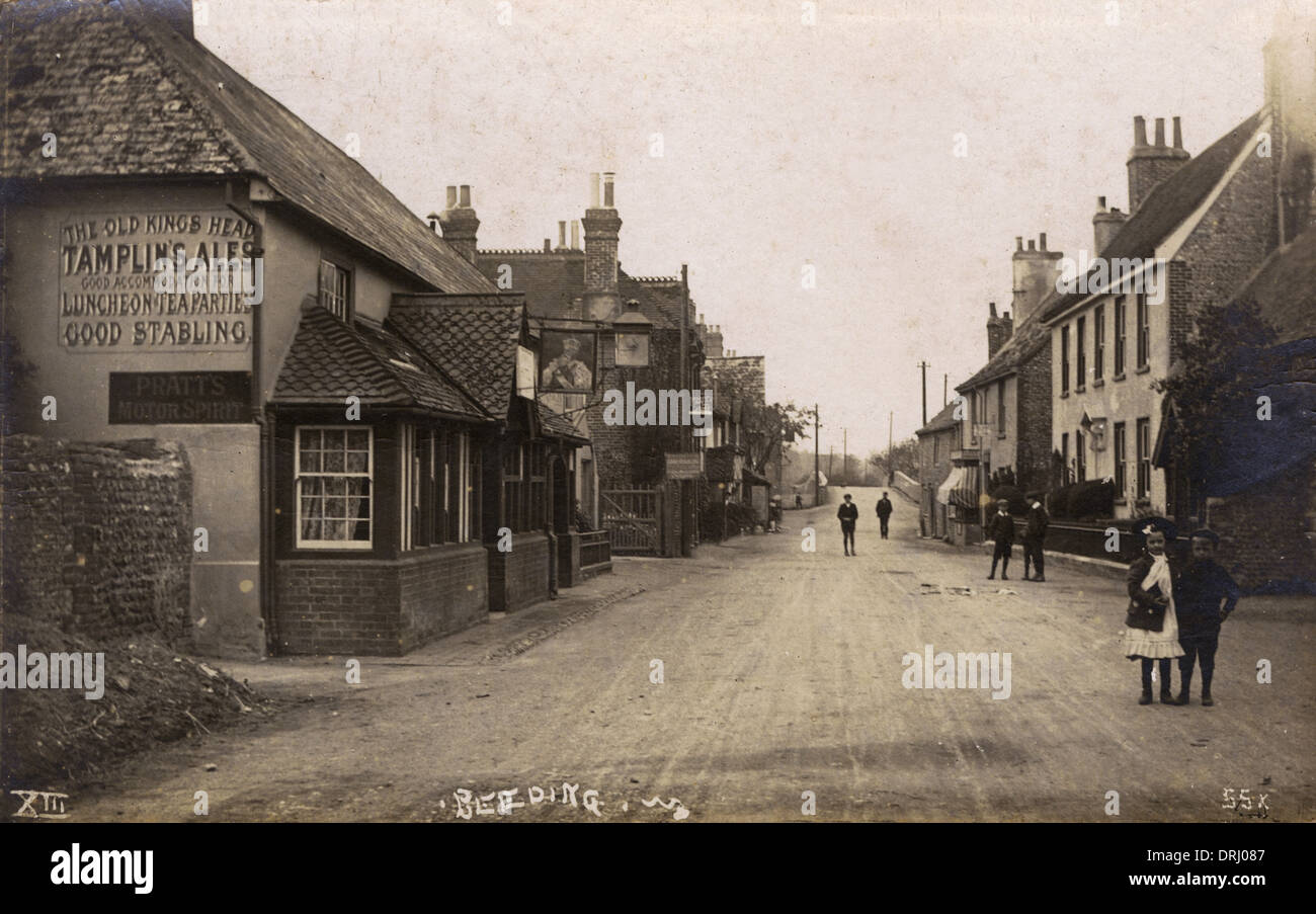 Beeding hi-res stock photography and images - Alamy