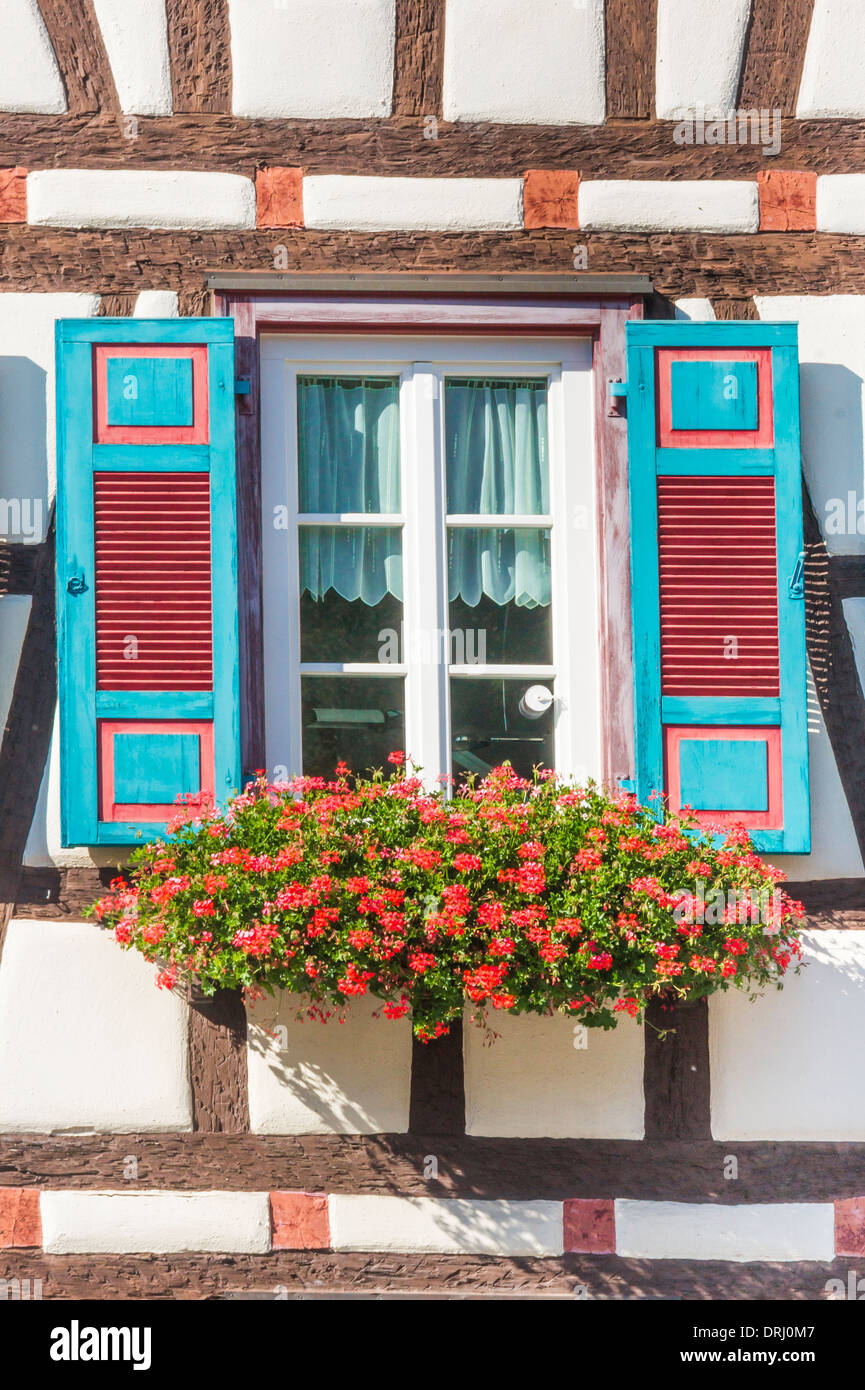 flower decked window with wooden turquoise colored shutters, schiltach ...